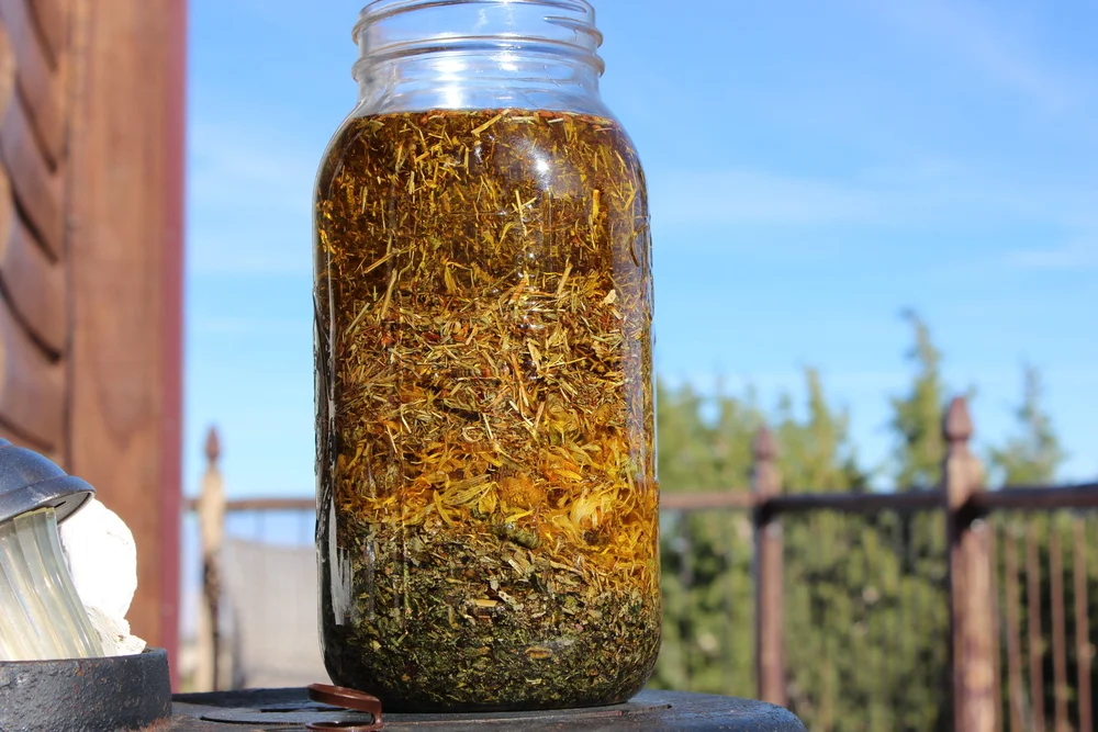 How to Make an Herbal Infused Oil Three Ways — All Posts Healing ...