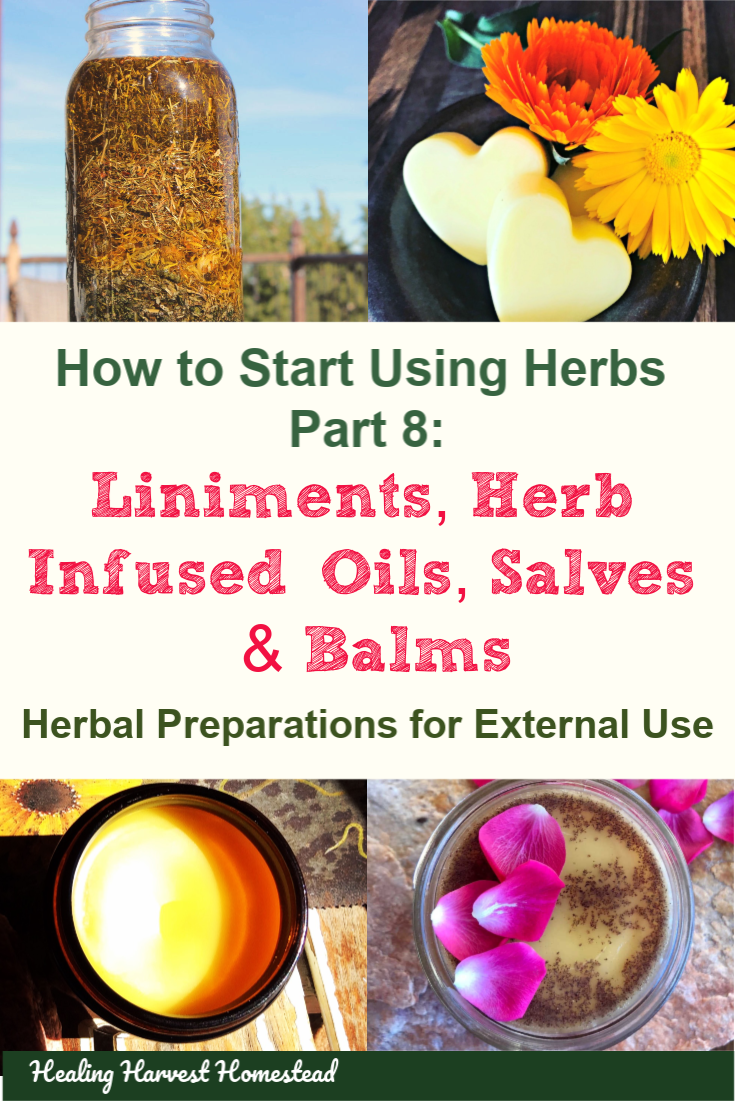 How to Start Using Herbs Part 8: Infused Oils, Liniments, Salves ...