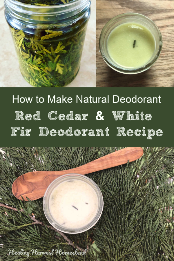 Red Cedar & White Fir Deodorant Recipe: A Homemade Natural Deodorant ...
