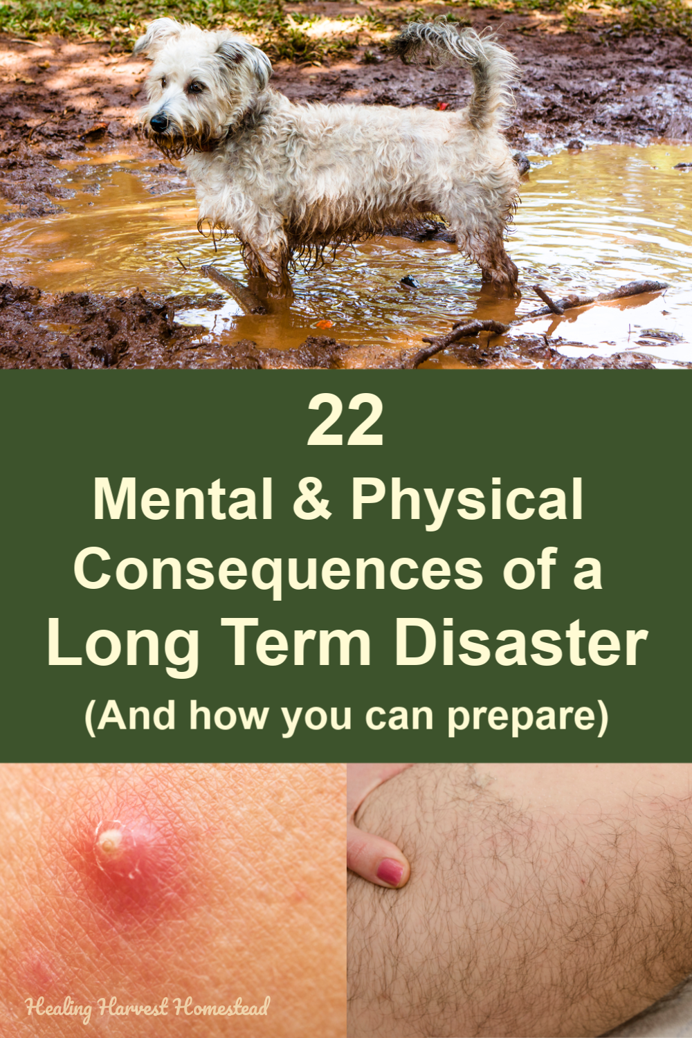 22 Psychological & Physical Effects of a Long Term Disaster Situation ...