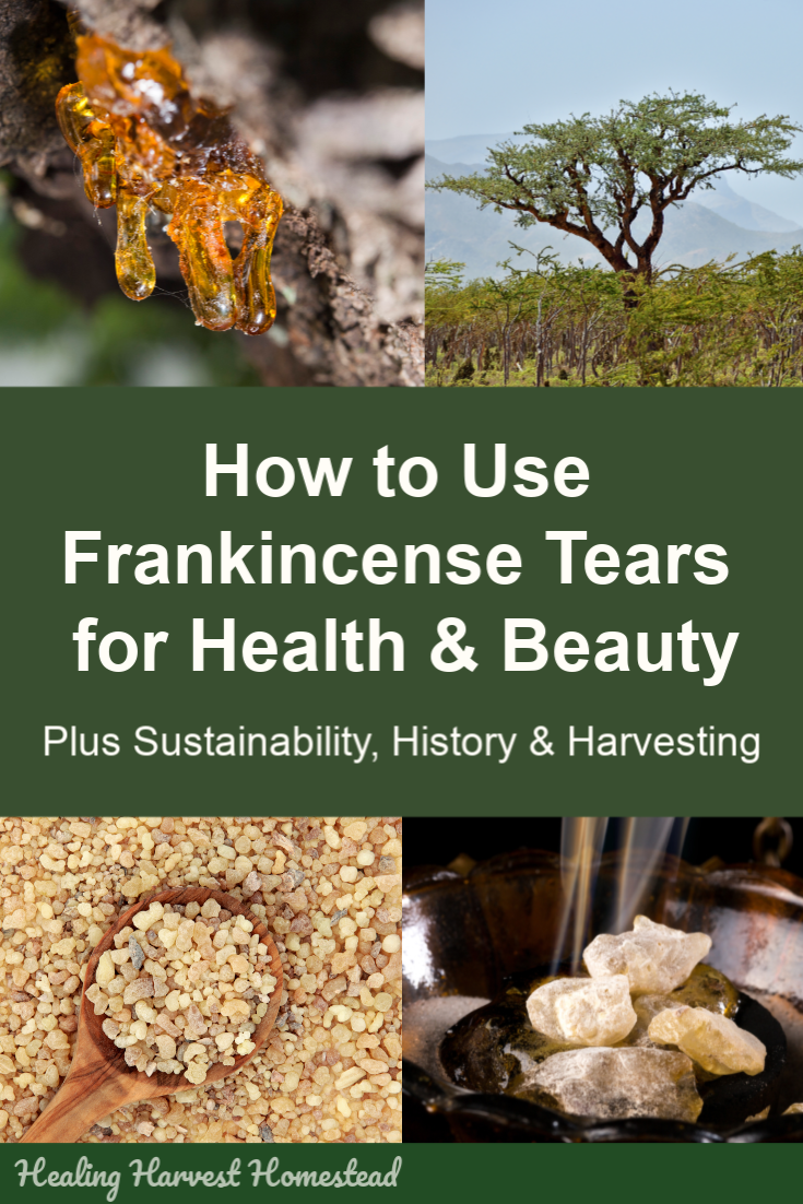 Benefits and Uses of Frankincense Resin — All Posts Healing Harvest ...