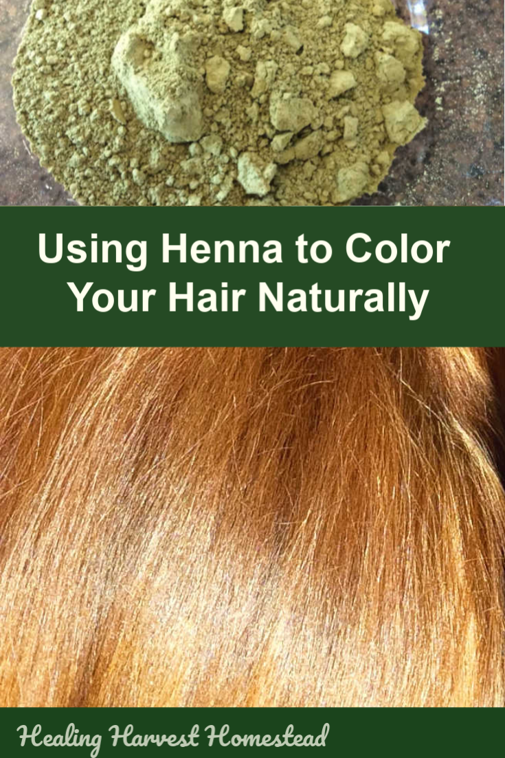 How to Dye Your Hair with Henna & Indigo....Natural, Chemical Free ...