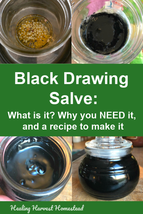 Black Drawing Salve Recipe Made with Healing Herbs — All Posts Healing ...