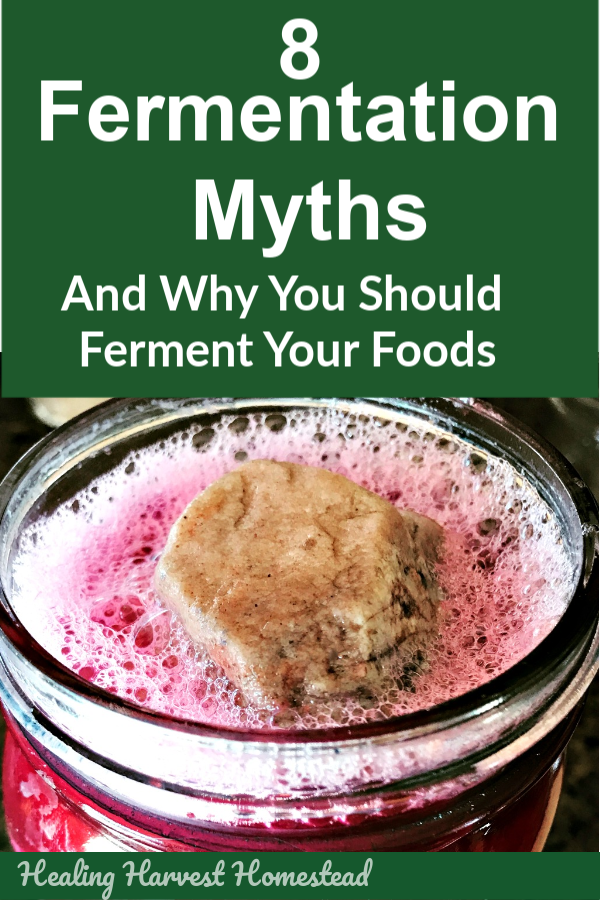 Fermentation Myths (Benefits of Fermentation and Why YOU Should ...