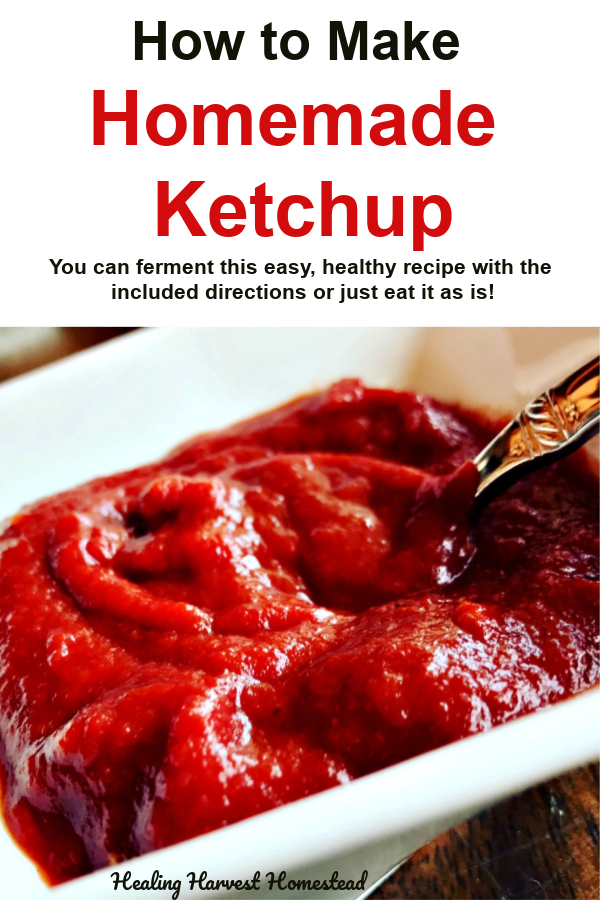 How to Make Homemade Fermented Ketchup (Or is It Catsup?) Delicious ...