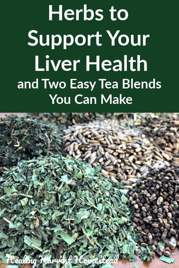Liver Support and Detox with Effective Herbal Tea and Tinctures (with ...