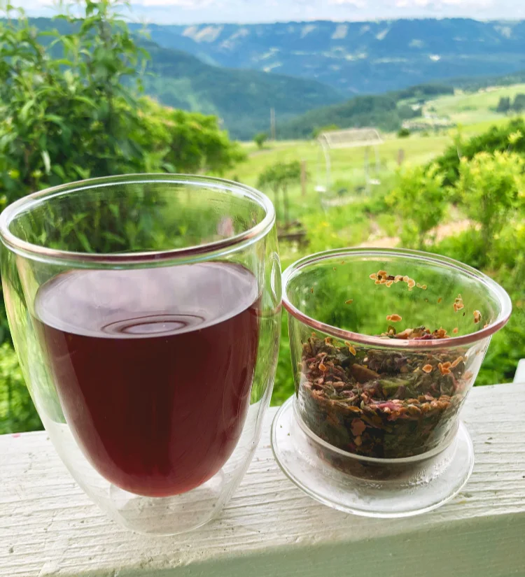 Hibiscus and Mint Herbal Tea Recipe for Summer Refreshment — All Posts ...