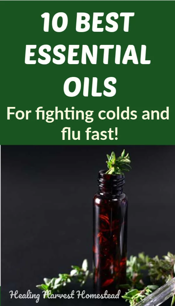10 BEST Essential Oils to Relieve Conditions of Common Cold and Flu ...