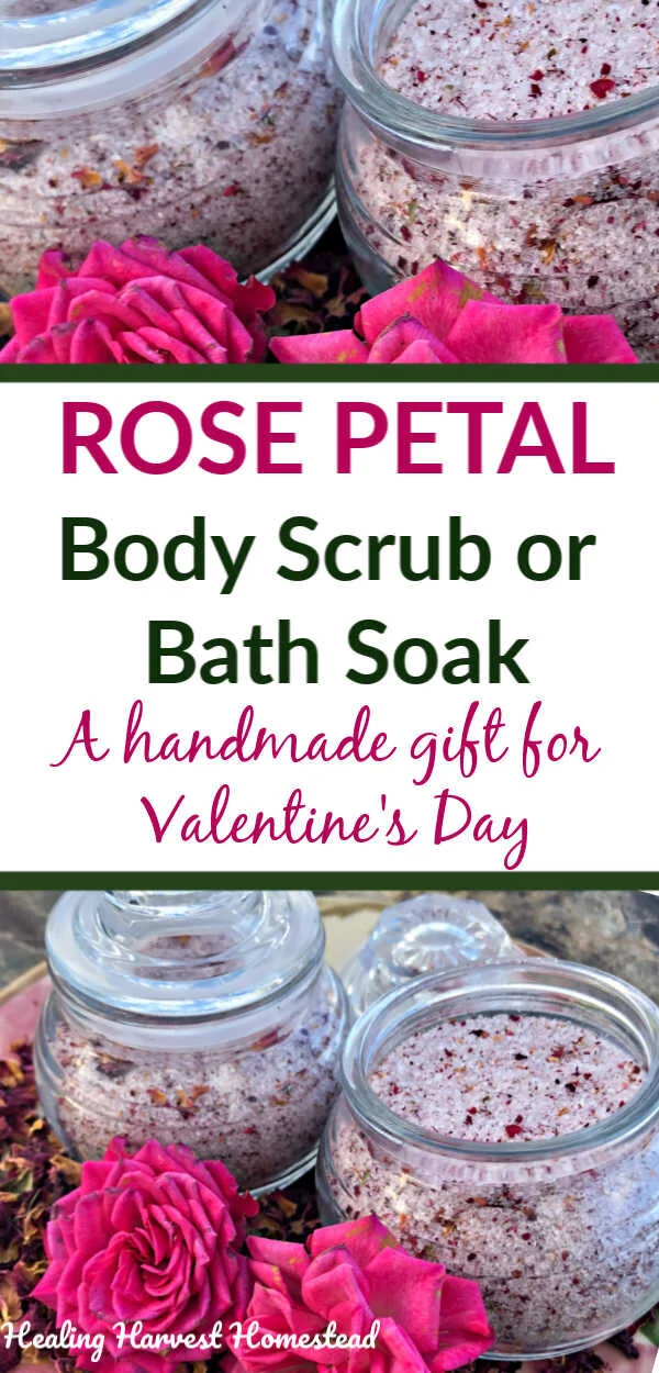 How to Make a Lovely Pink Rose Petal Body Scrub or Bath Soak — All ...