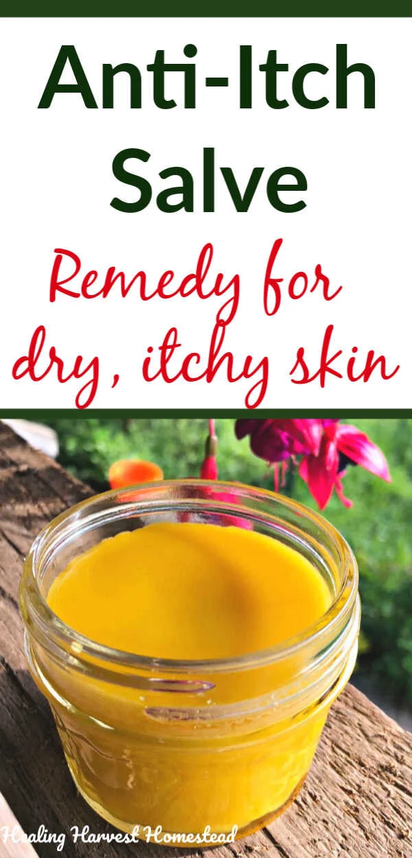 How to Make an Herbal Anti-Itch Salve or Balm (Great for Bug Bites; Dry ...