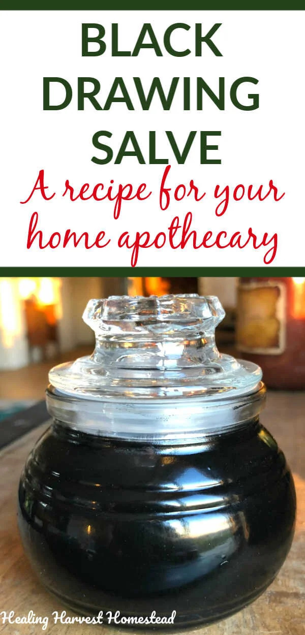 Black Drawing Salve Recipe Made with Healing Herbs — All Posts Healing ...
