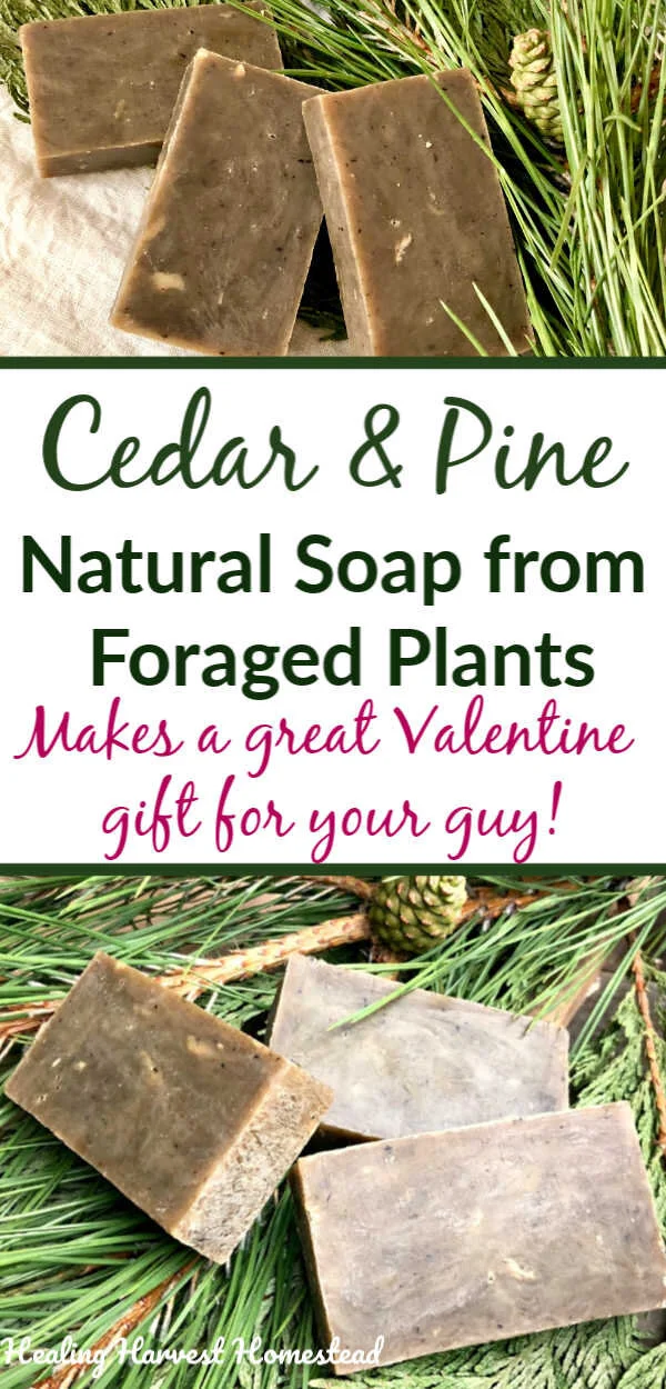 Cedar & Pine Handmade Soap Recipe for Your Manly Man: (An Easy, Natural ...
