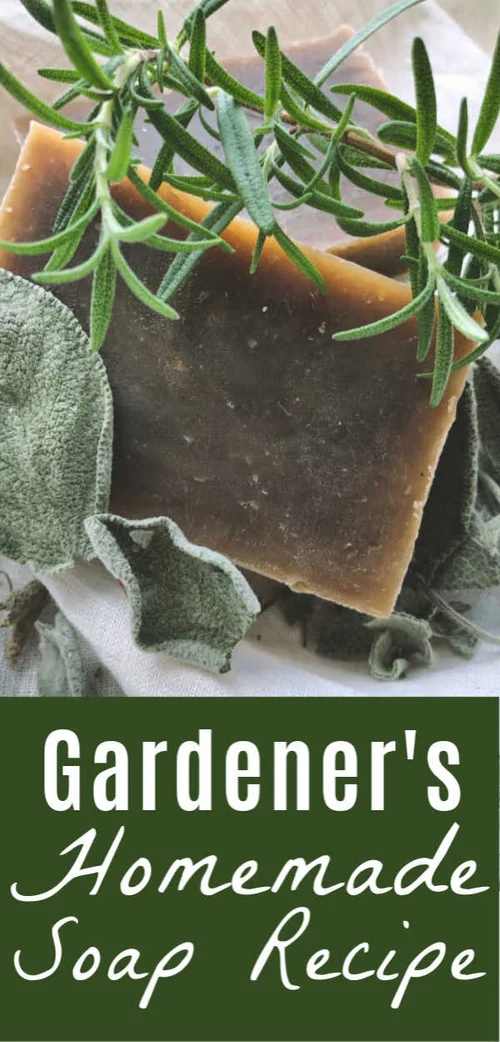 Gardener's Handmade Soap Recipe (Rosemary, Sage, Mint and Pumice) — All ...