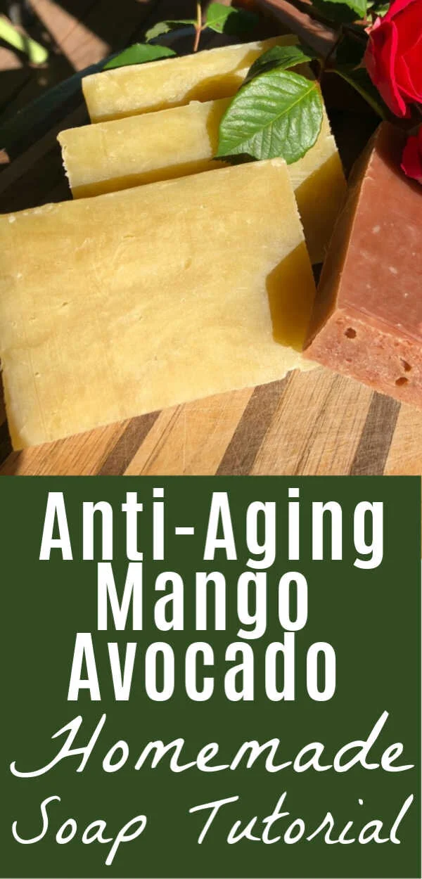 Mango-Avocado Anti-Aging Super Moisture Soap Recipe (Plus, Two ...