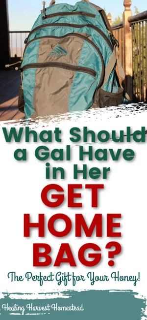 What Must a Gal Have in Her Get-Home-Bag? Plus a Checklist for What You ...