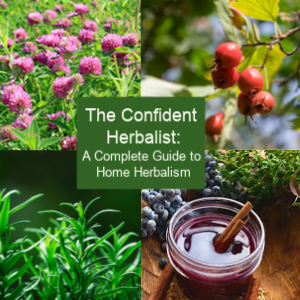 How to Forage Edible and Wild Plants Successfully and Safely: 15 Tips ...
