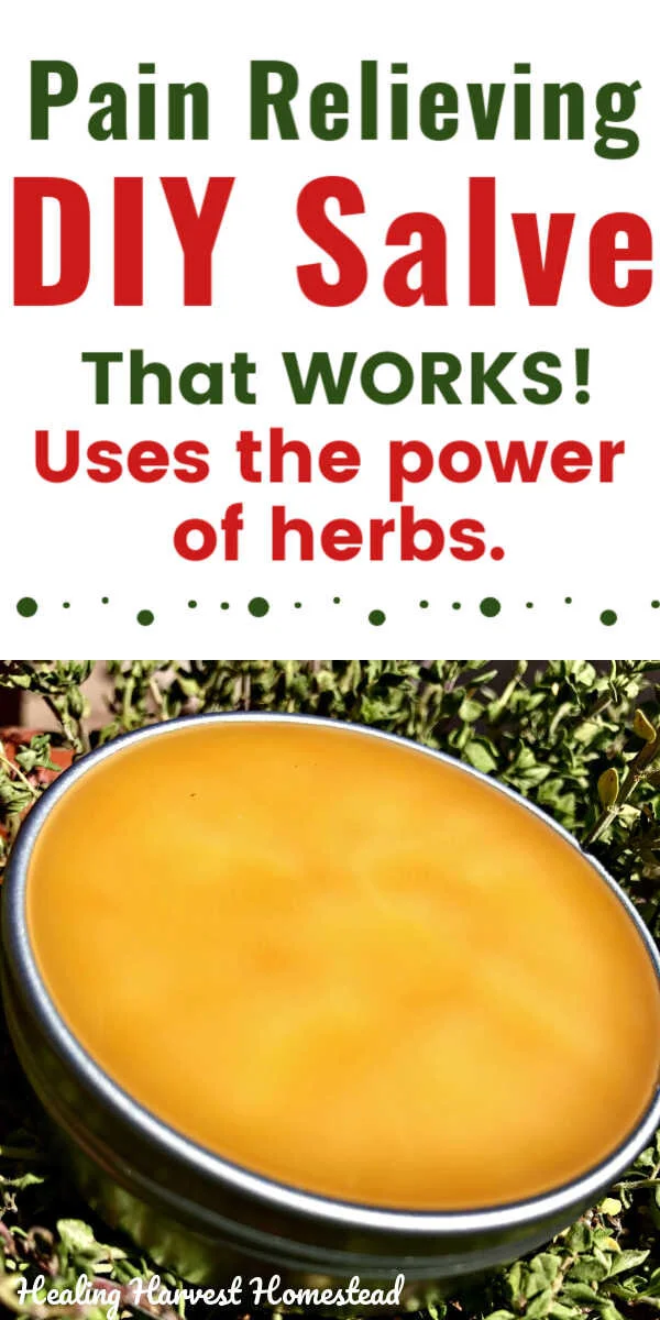 How to Make a Pain Relief & Sore Muscle Herbal Salve (Joints, Muscles ...