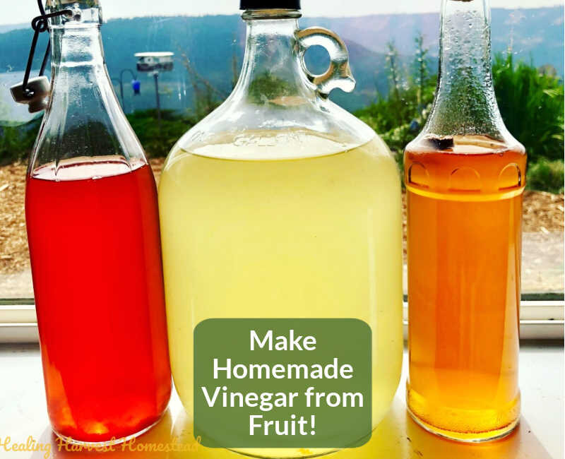 Healing Harvest HomesteadHome New