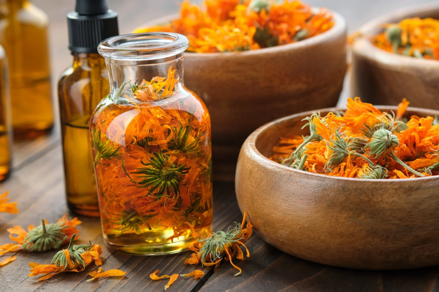 Herbal Tincture Making Debate: Solar Method? Or Dark Cupboard? — All ...