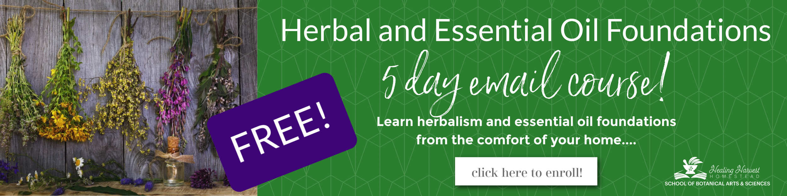 Herbs and Essential Oils for Shingles: An Herbal Protocol — All Posts ...