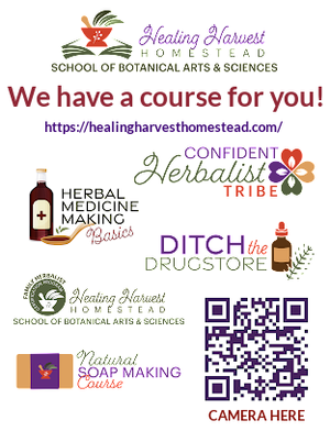 Latin Plant Names Explained (And What Do They Mean?) A Guide to ...