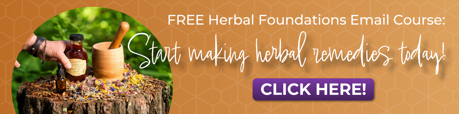 What is an Electuary? How to Make Delicious and Healthy Herbal Candies ...