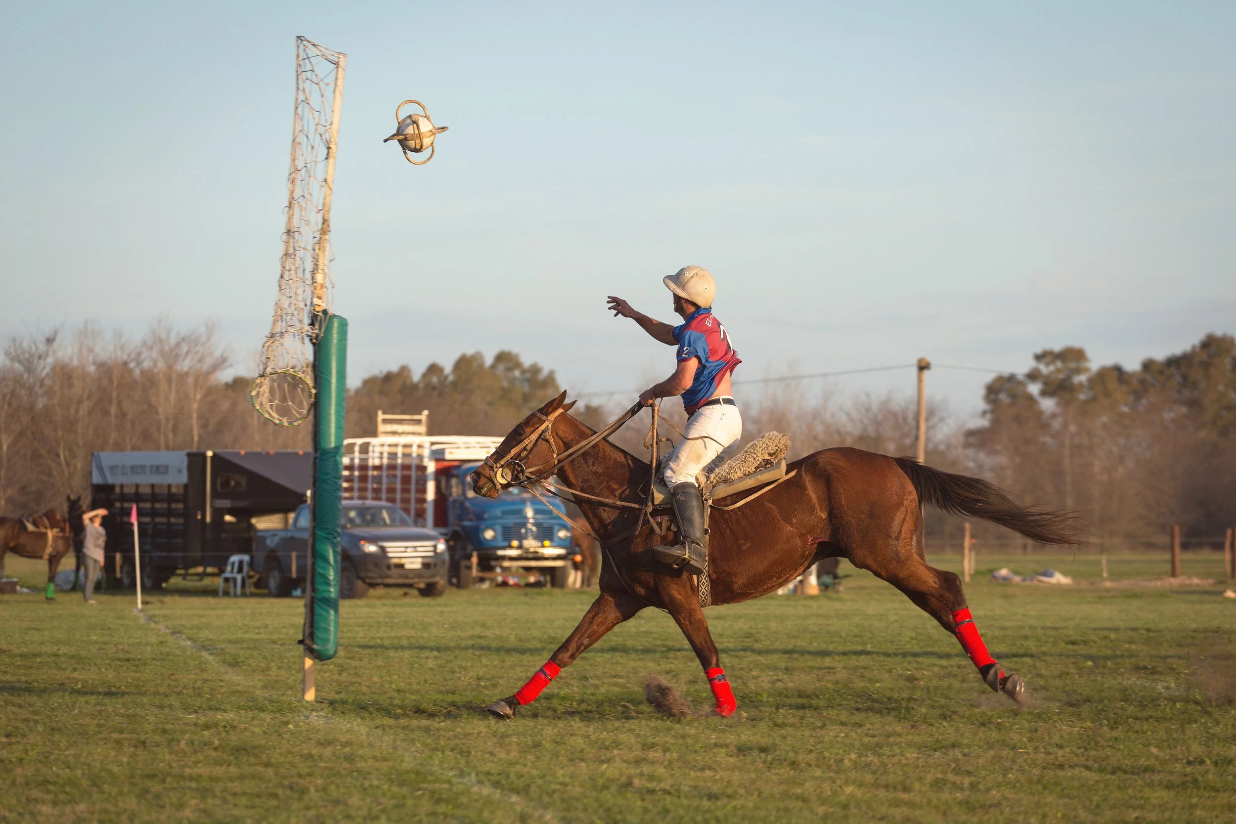 Pato: Argentina's National Sport and Its Rich History - Pieces of Argentina