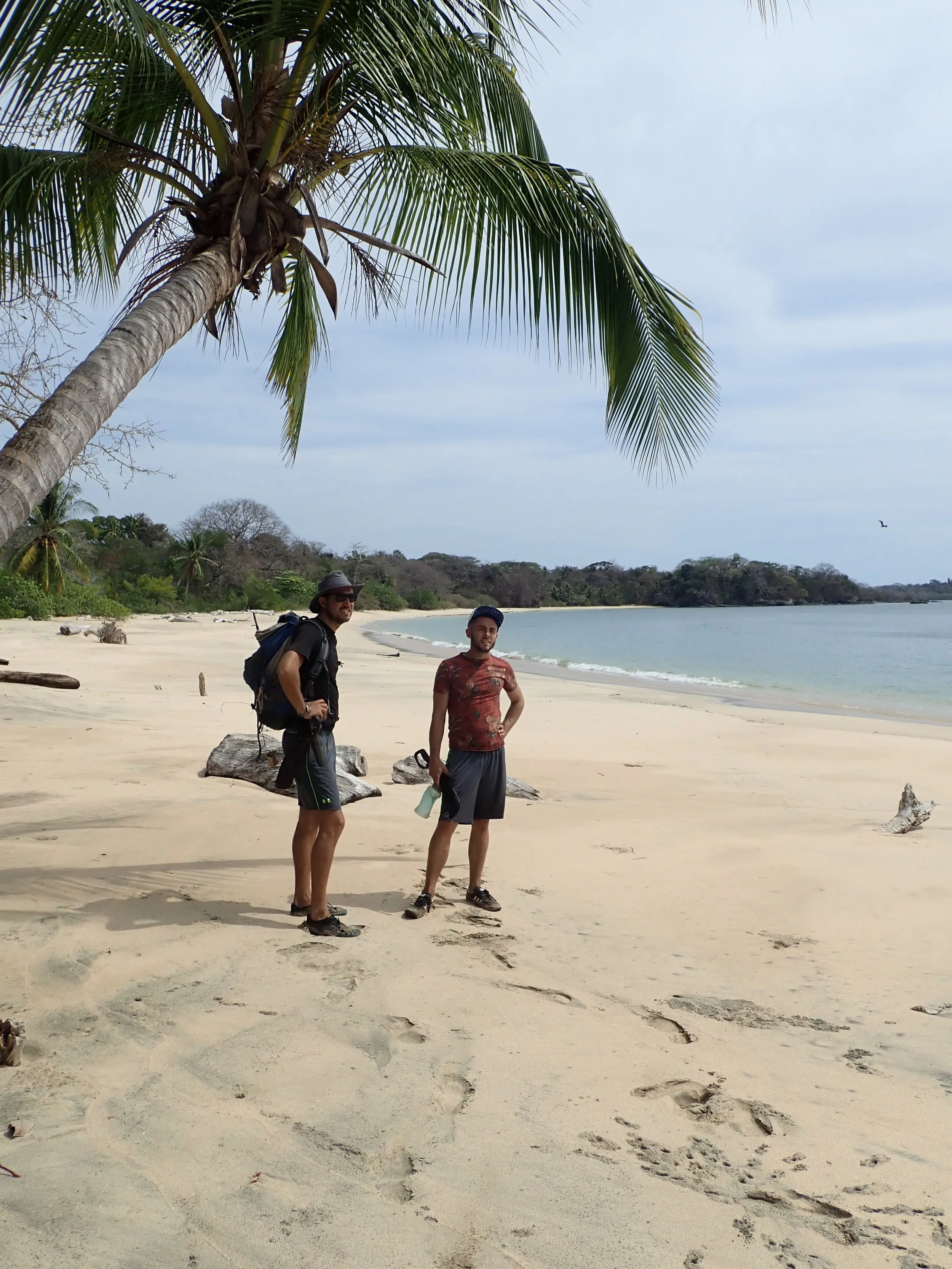 Desert Island Survival