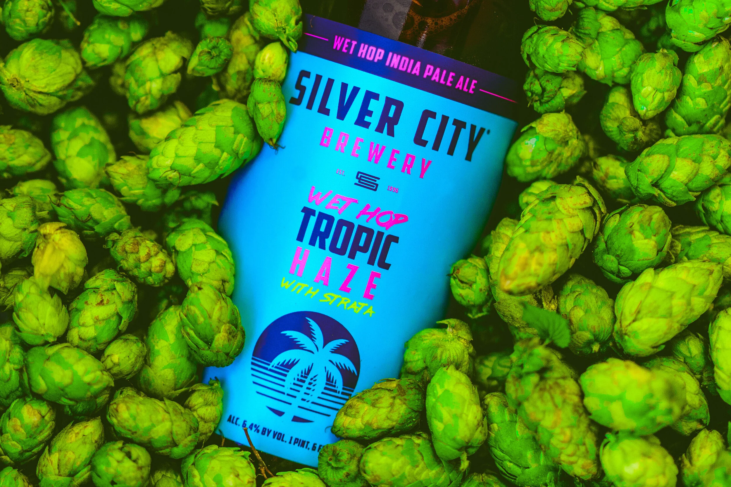 Silver City Brewery - Beer