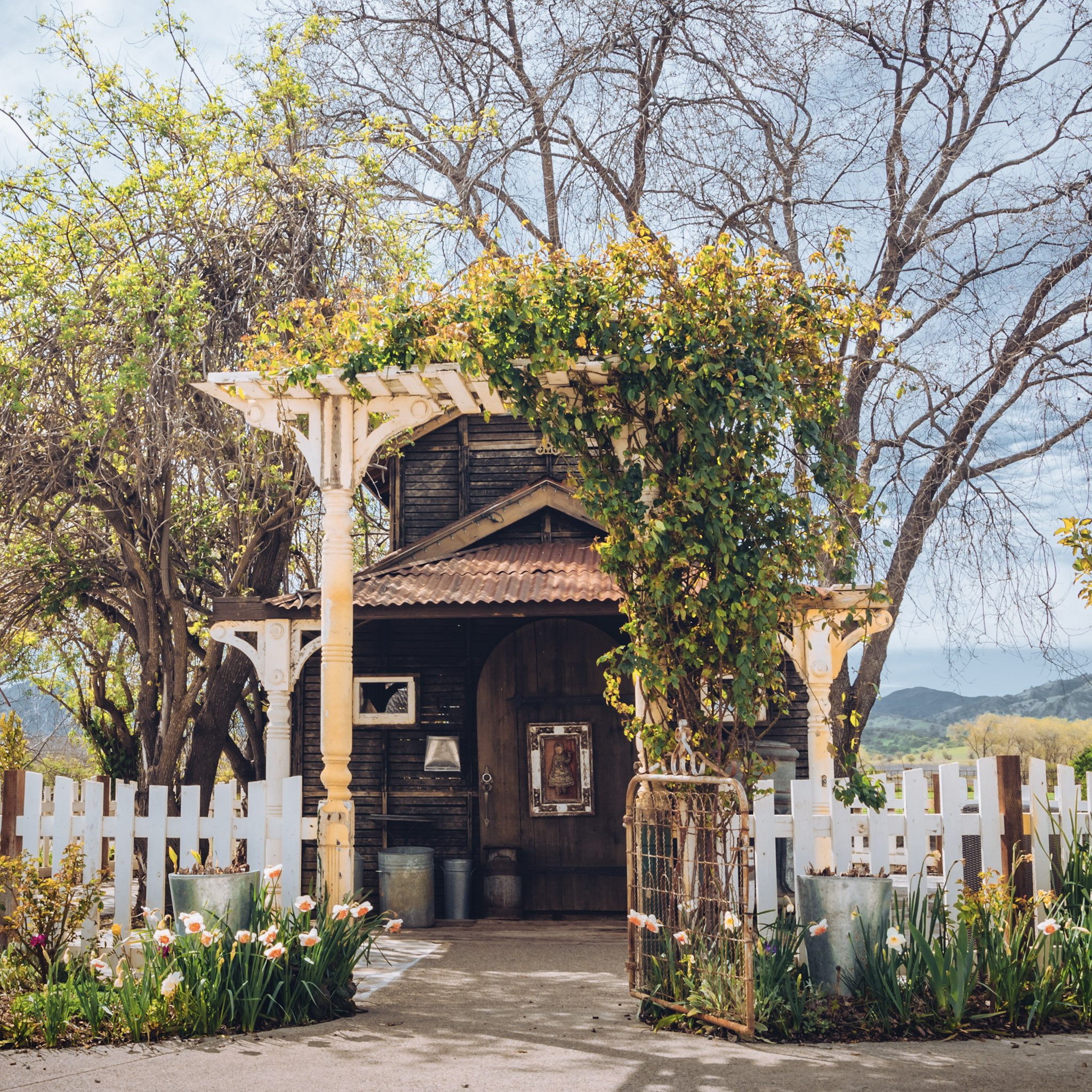 Flower Farm Blog - Park Winters