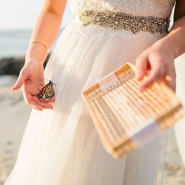 Four Seasons Wedding — Fletch Photography Blog