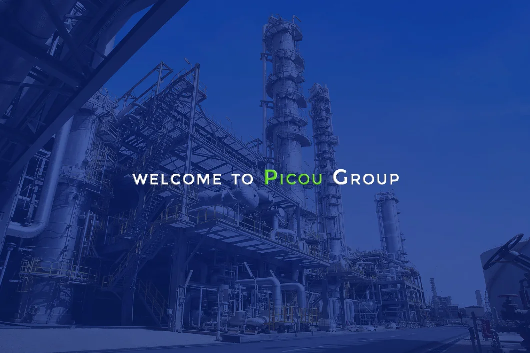 Picou Group