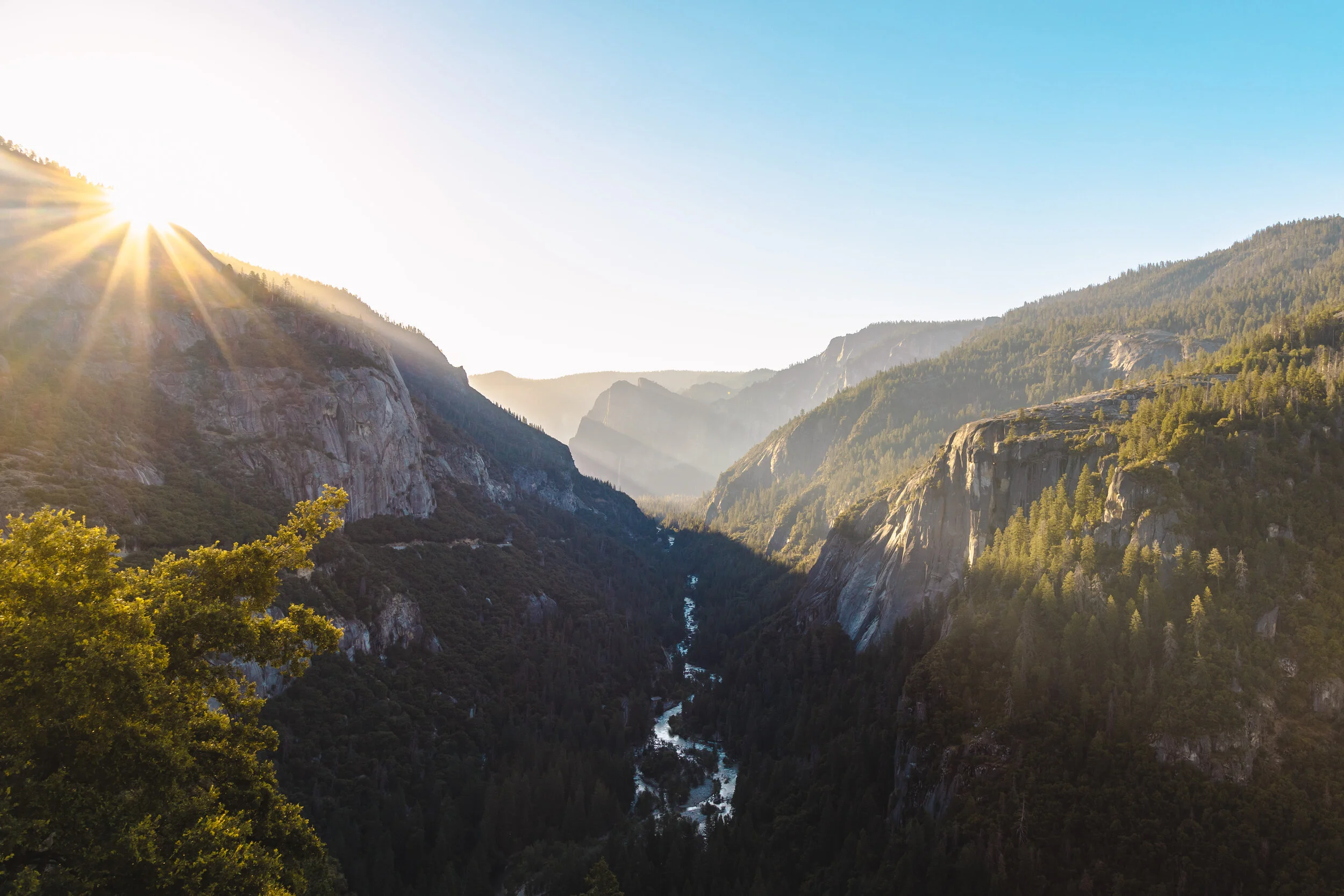 SHOP — GAGAN MOORTHY