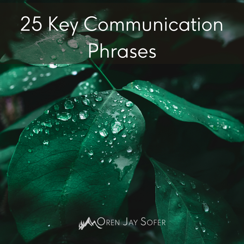 How to Stop Arguing — Oren Jay Sofer