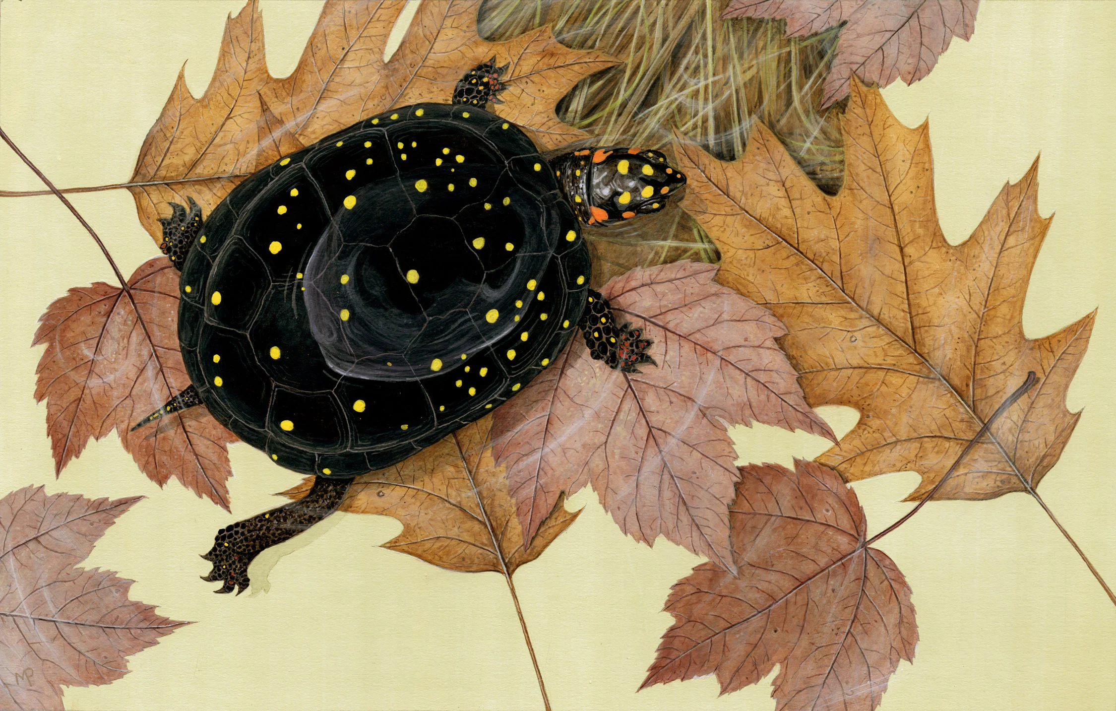 For Sale — Stoneridge Art Studios