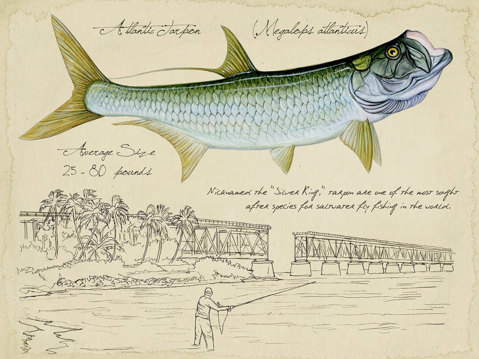 For Sale — Matt Patterson