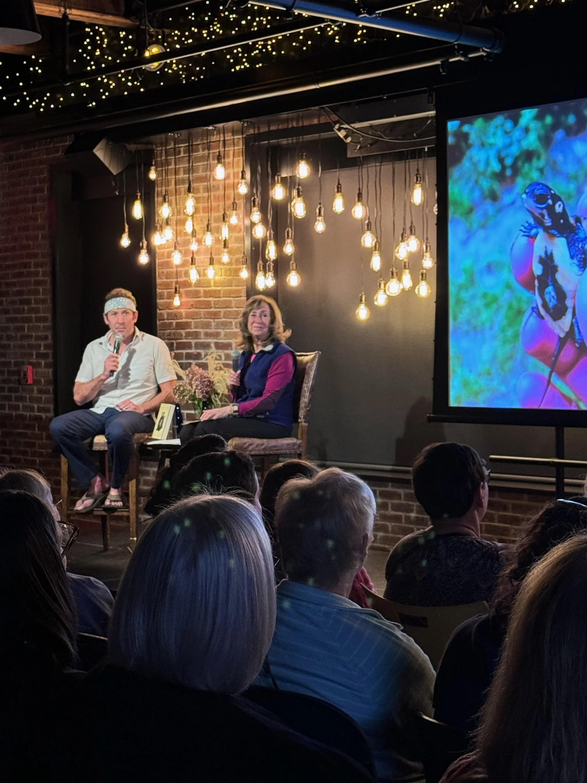 Appearances — Matt Patterson