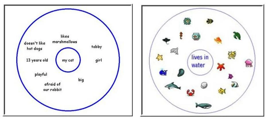 Thinking Map Examples For Math