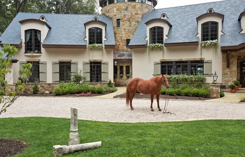 Stephen Shutts Design