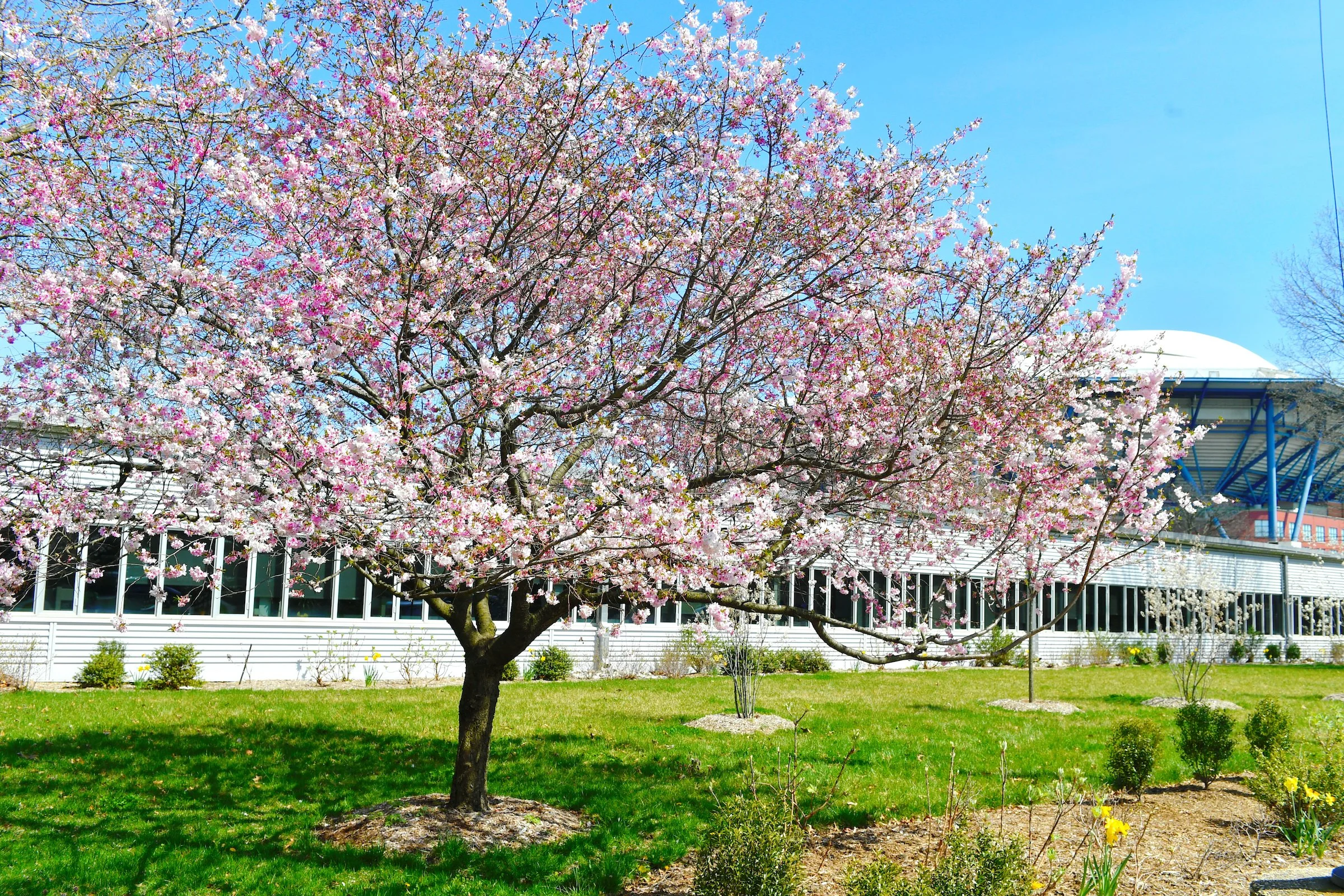 Events — Alliance for Flushing Meadows Corona Park