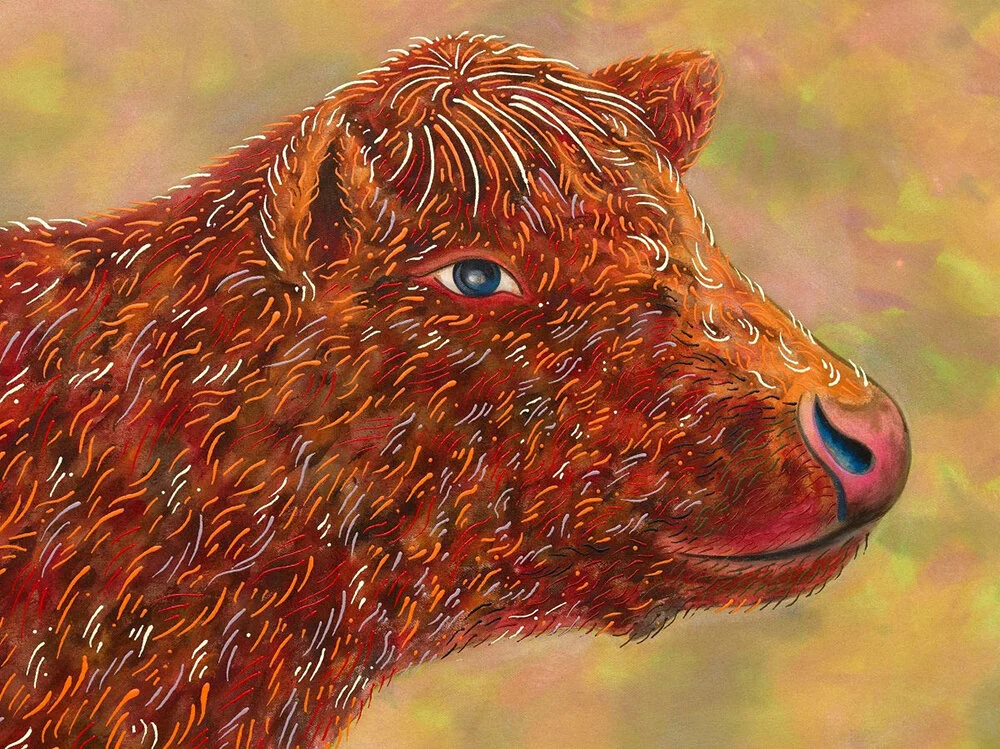 MAGNUS ANDERSEN "AGRICATION" — I DO ART