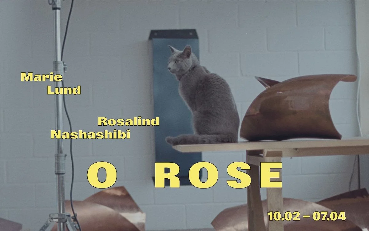 MARIE LUND OG ROSALIND NASHASHIBI "O ROSE" — I DO ART