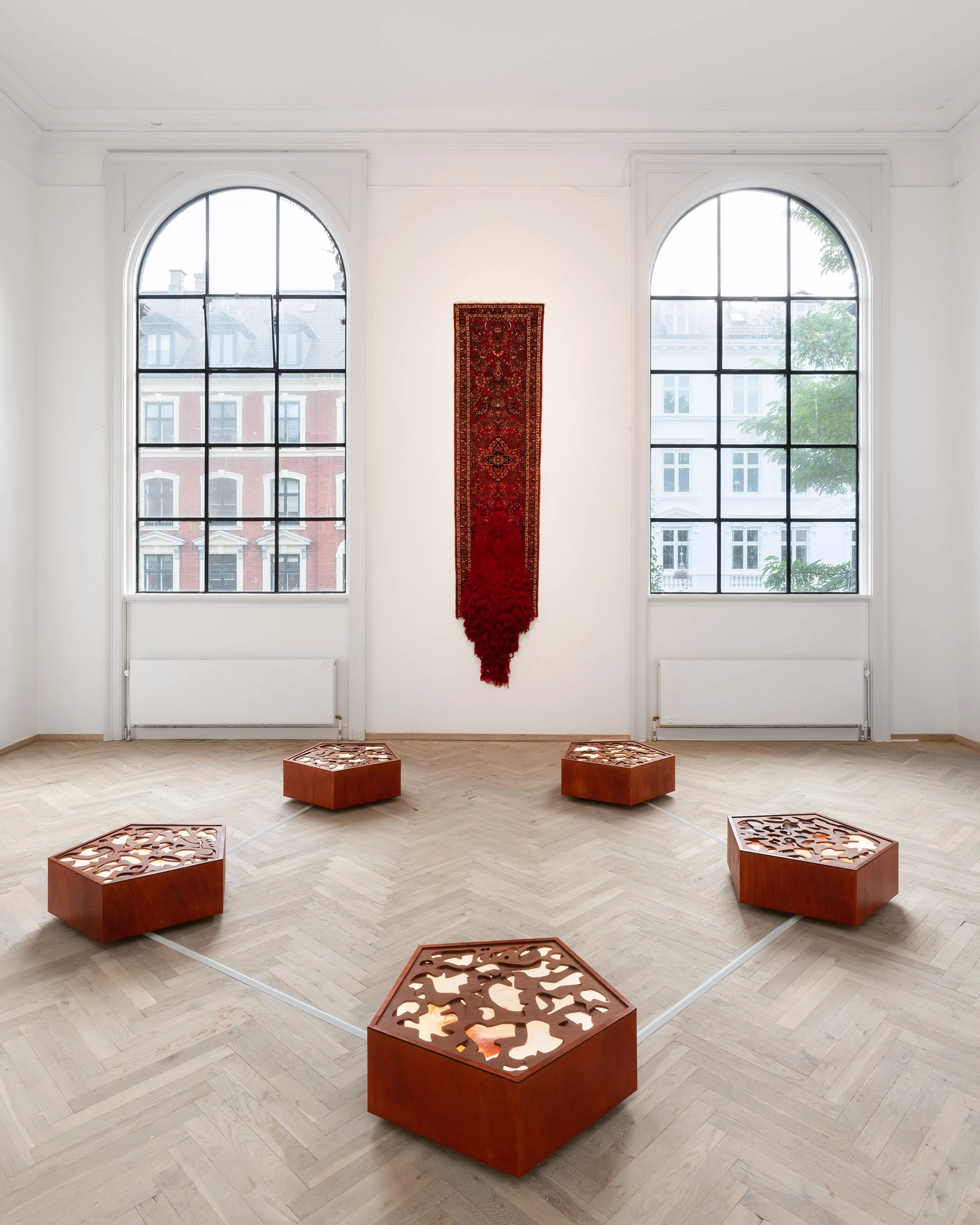 LINA HASHIM SKAL LAVE UDSMYKNING PÅ RÅDHUSPLADSEN OG BORUPS PLADS — I ...