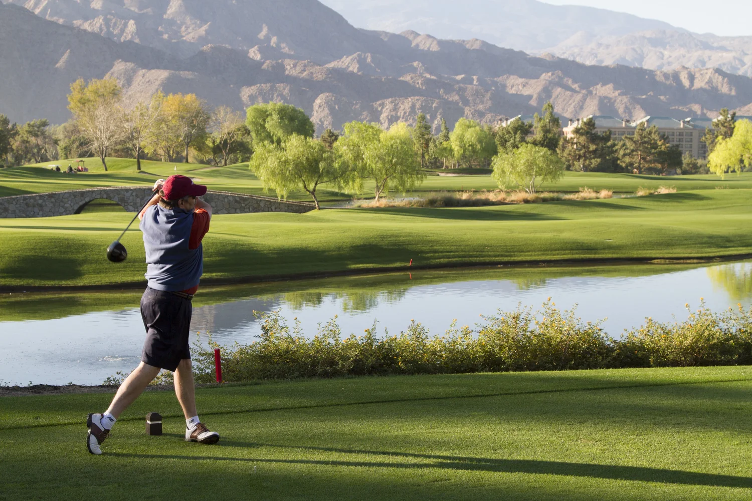 EDPA FOUNDATION — Home - EDPA