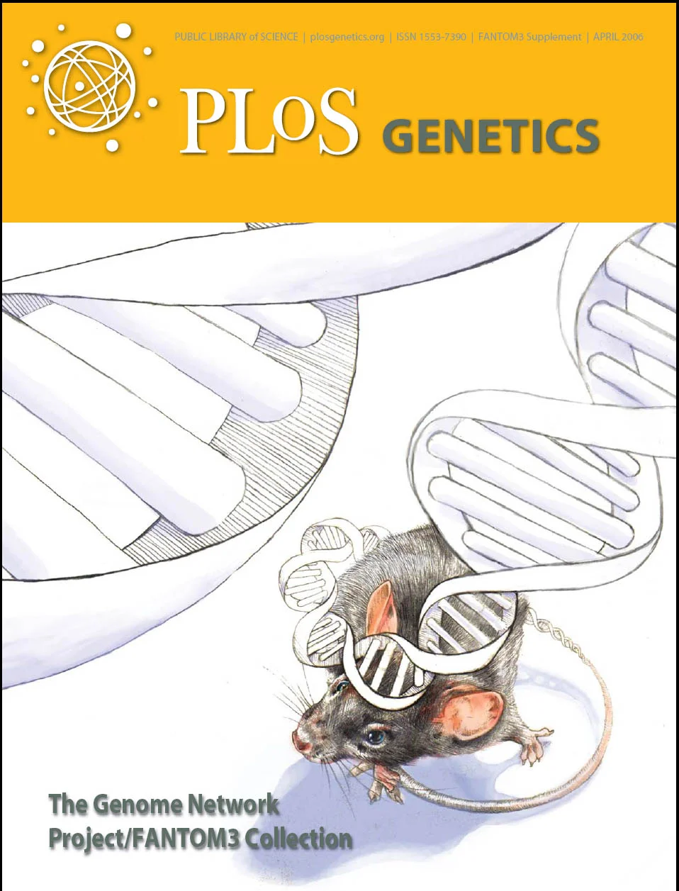 Melissa Garden Illustration & Design