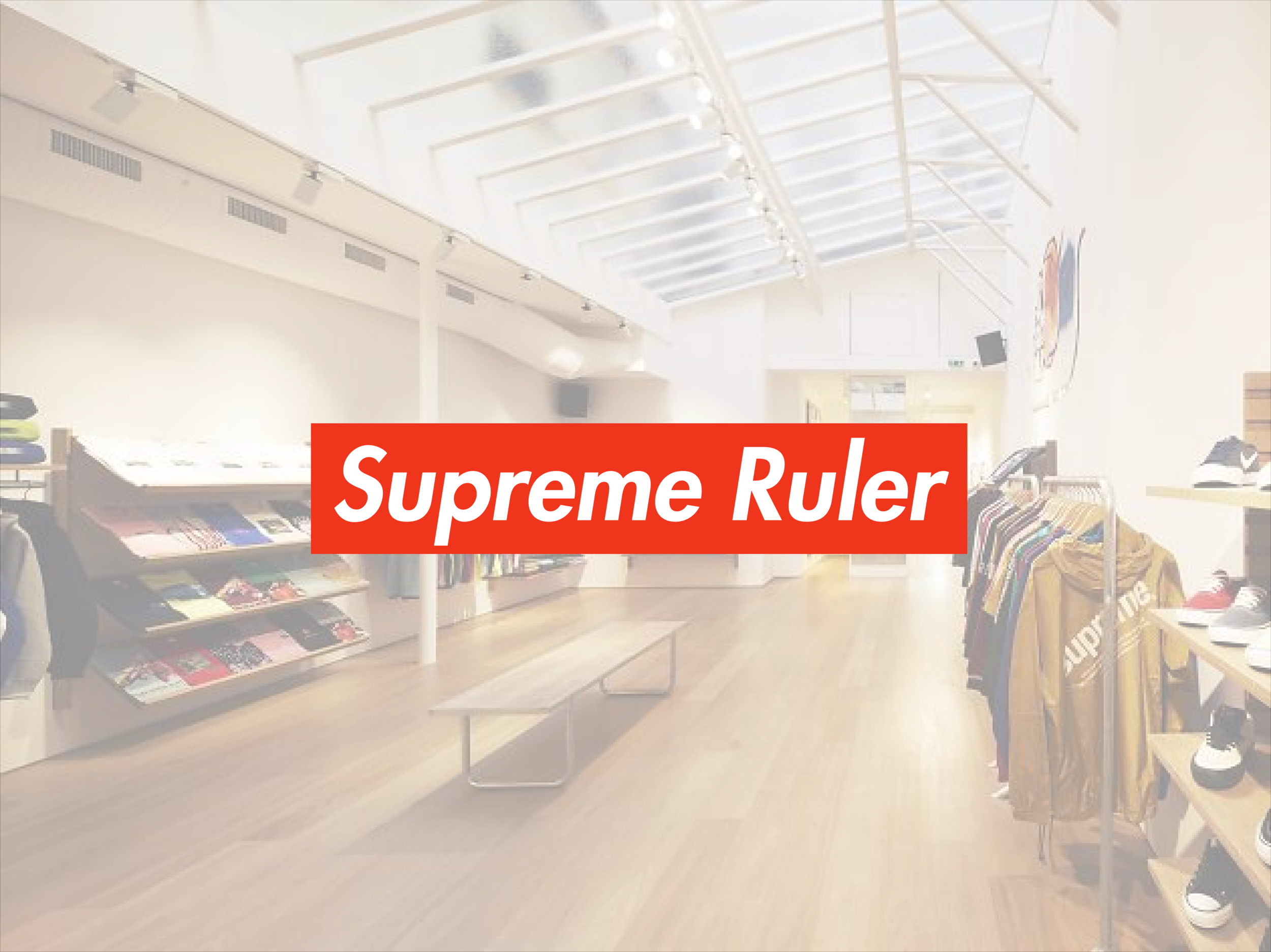 Budweiser x Supreme — Lyns Descardes