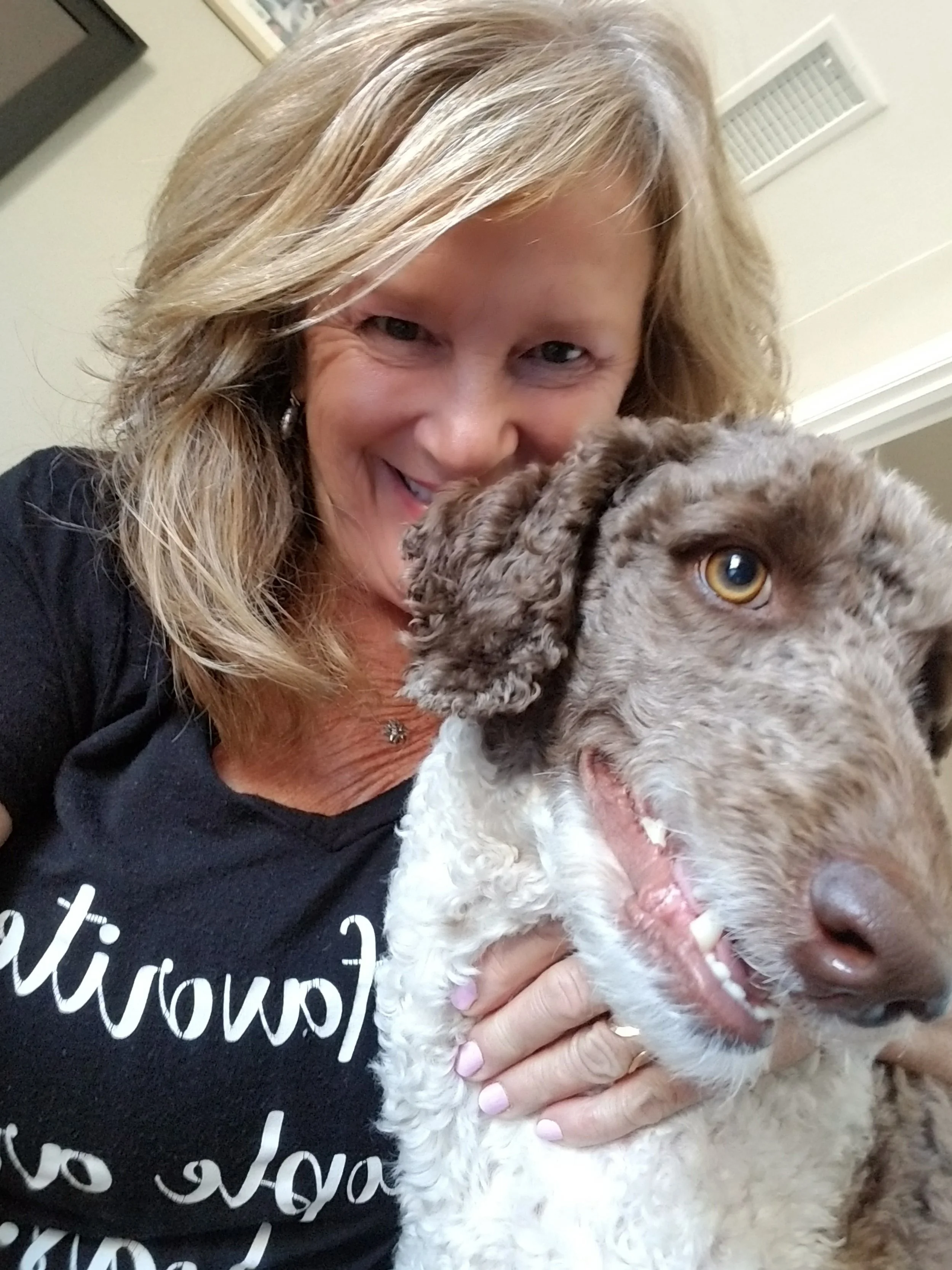 Dog Training Orange County, CA