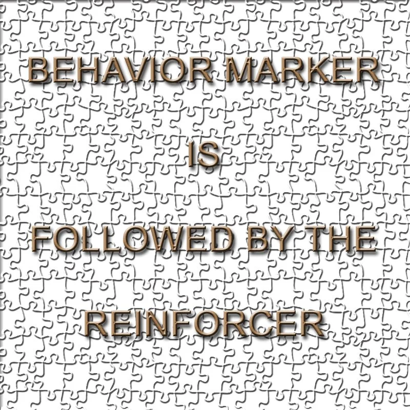 Behavior markers — Just dogs