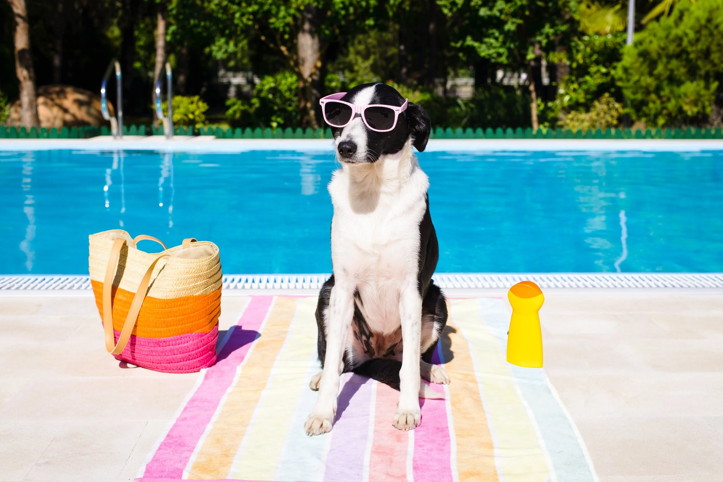 Retro-Fit Pool Lights | Easy LED Upgrades | Spa Electrics — Spa ...