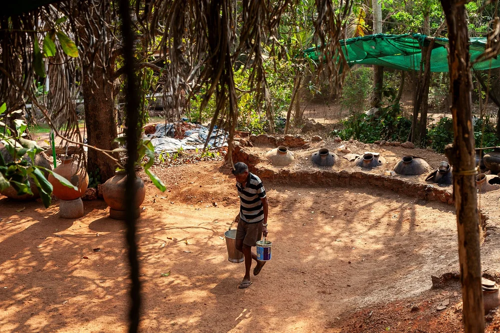 The Making of Goa's Jungle Juice, Urraca — GOYA